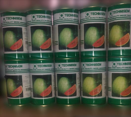 Watermelon Seeds (Technisem) – LADI MORALS MART